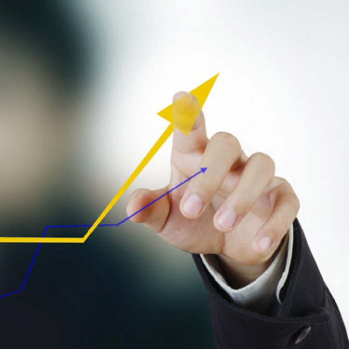 会社設立とビジネス開発事業 – Efson Global Japan